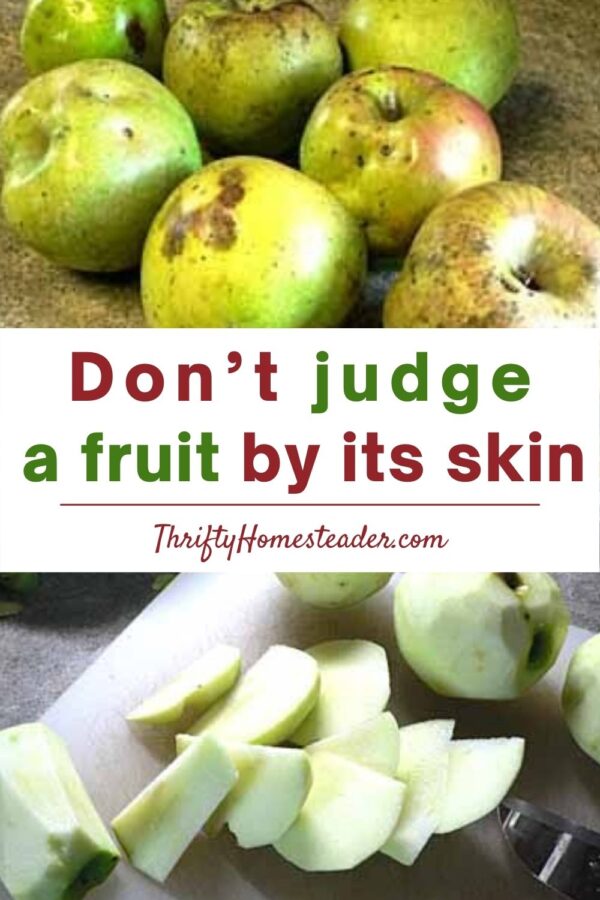 Don't judge a fruit by its skin