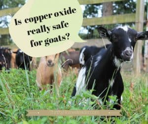 Is Copper Oxide Really Safe for Goats?