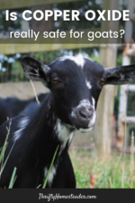 Is Copper Oxide Really Safe for Goats?