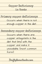 Avoiding Copper Toxicity in Goats