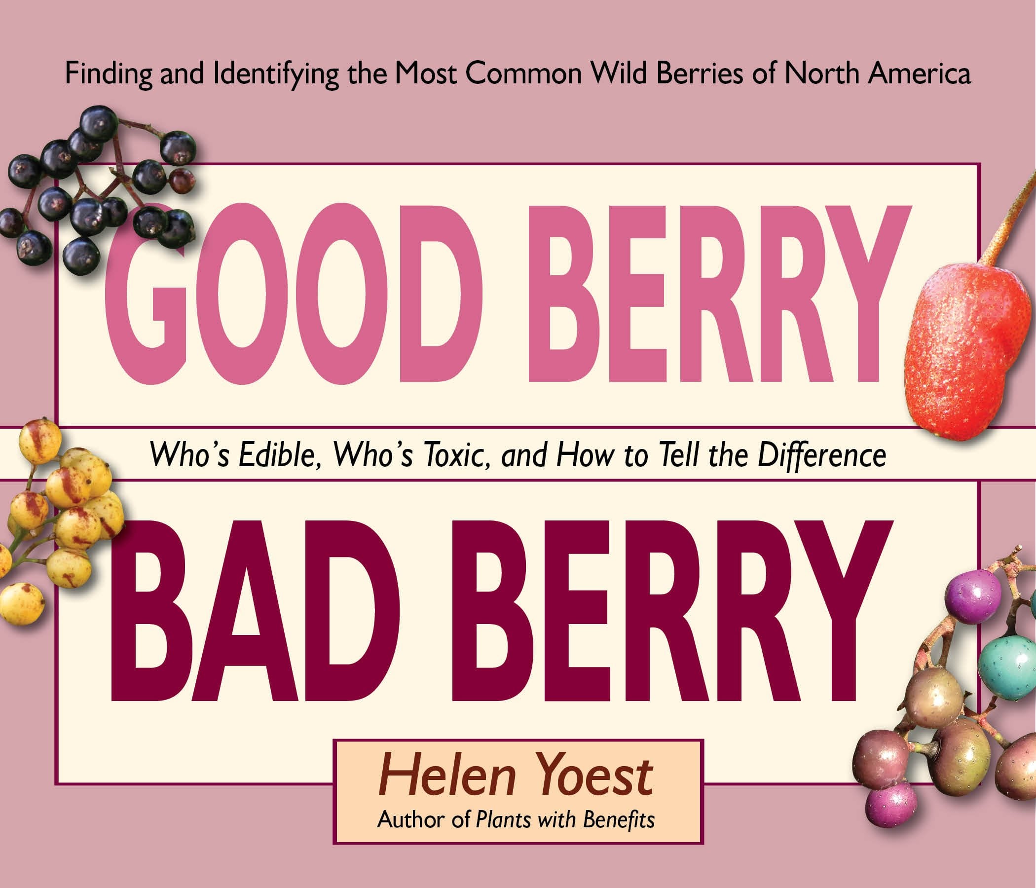 Can you tell the difference between edible and poisonous berries?