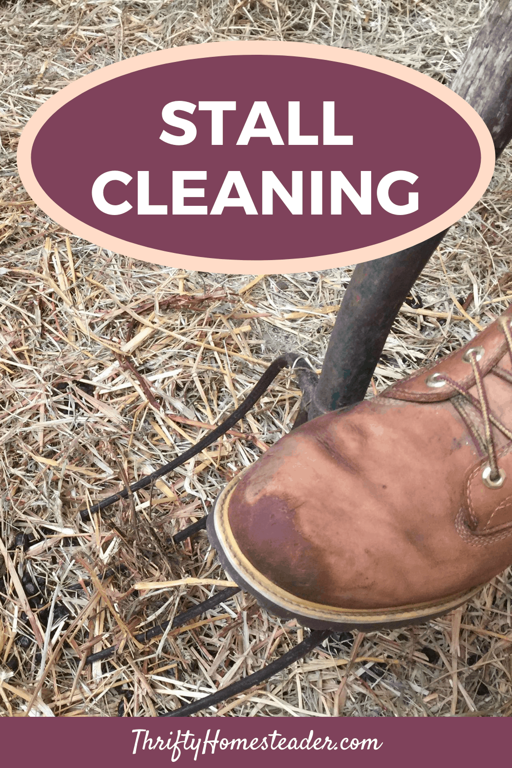 Stall Cleaning: A Necessary Part of Homesteading