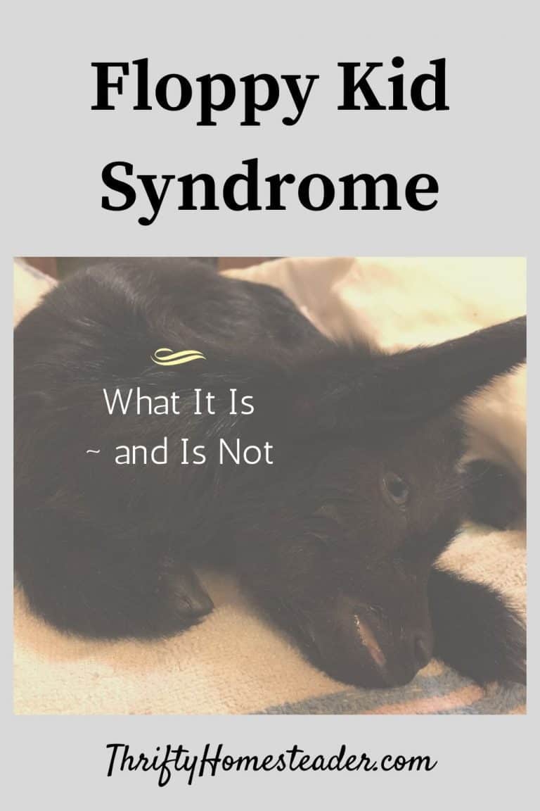 What Floppy Kid Syndrome Is -- and What It Is Not