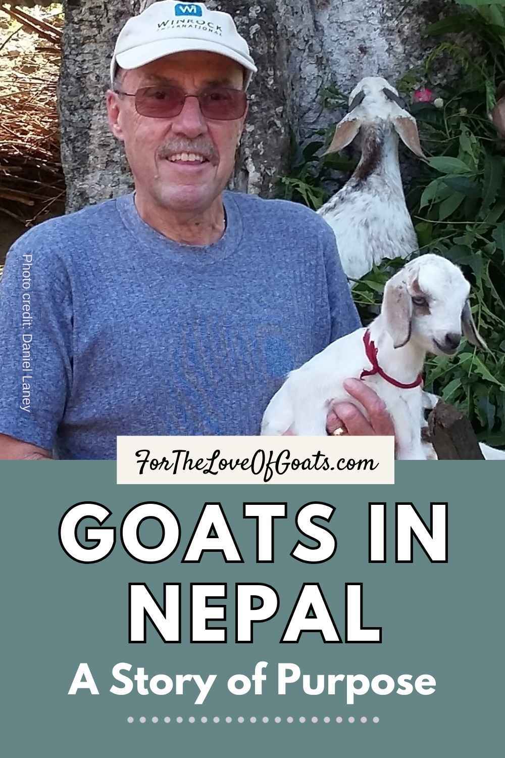 Goats in Nepal: Changing Lives Through Goats