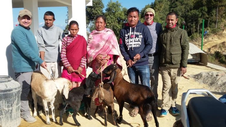 Goats in Nepal: Changing Lives Through Goats