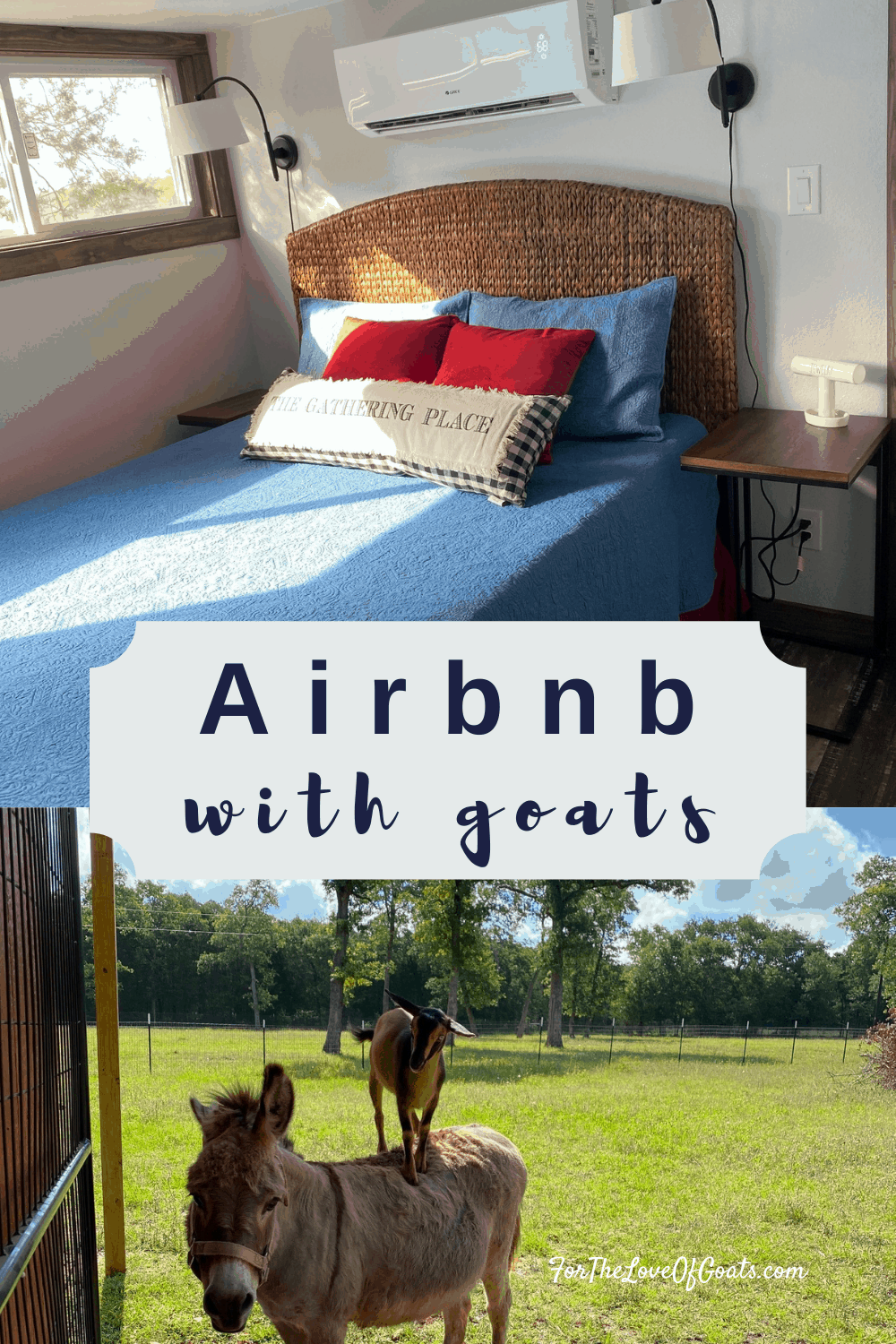 Airbnb with Goats