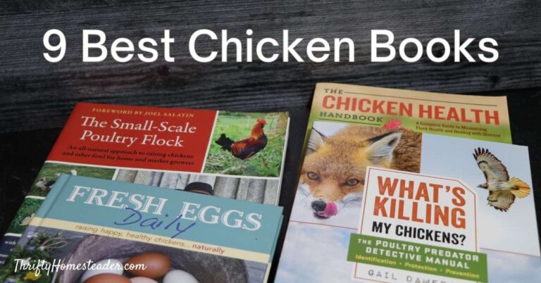 9 Best Chicken Books: 2022 Gift Guide and Must-Read List