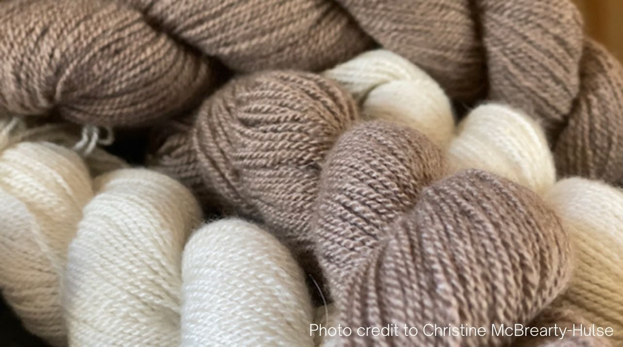 Cashmere Goats