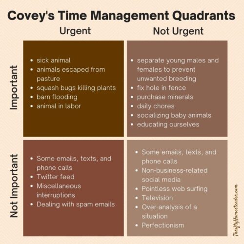 4 Steps to Time Management on the Homestead