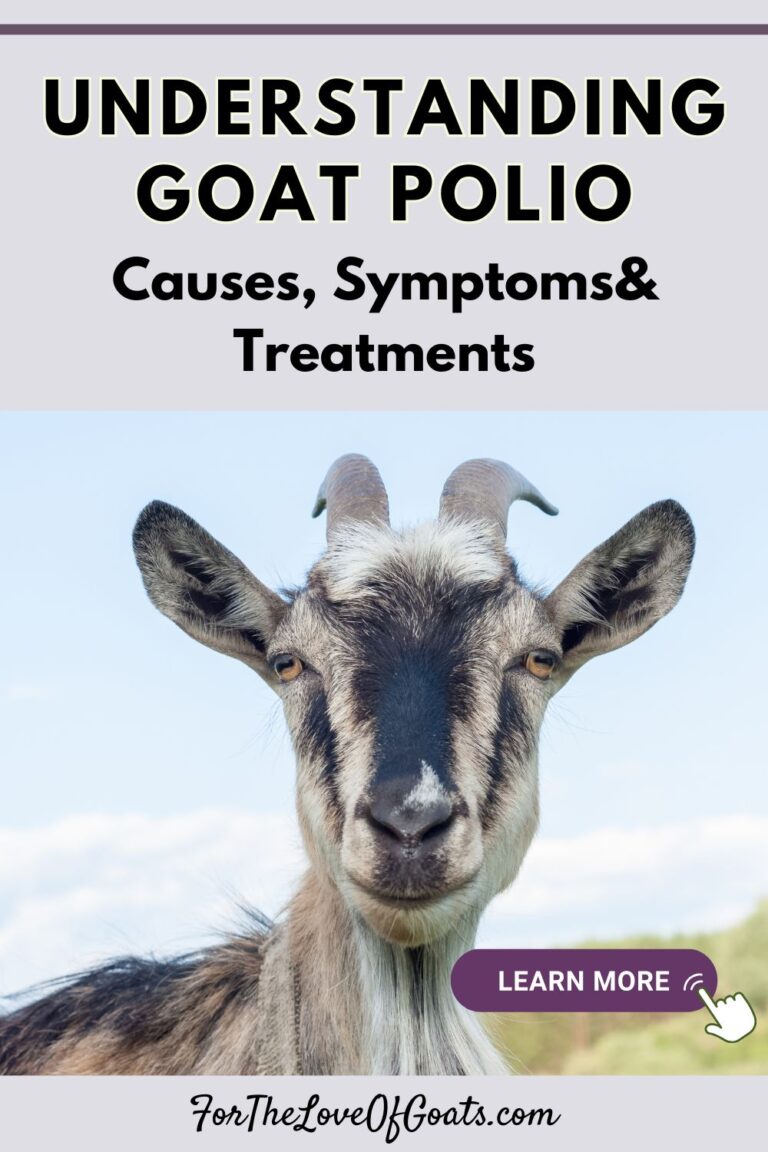 Understanding Goat Polio: Causes, Symptoms & Treatments