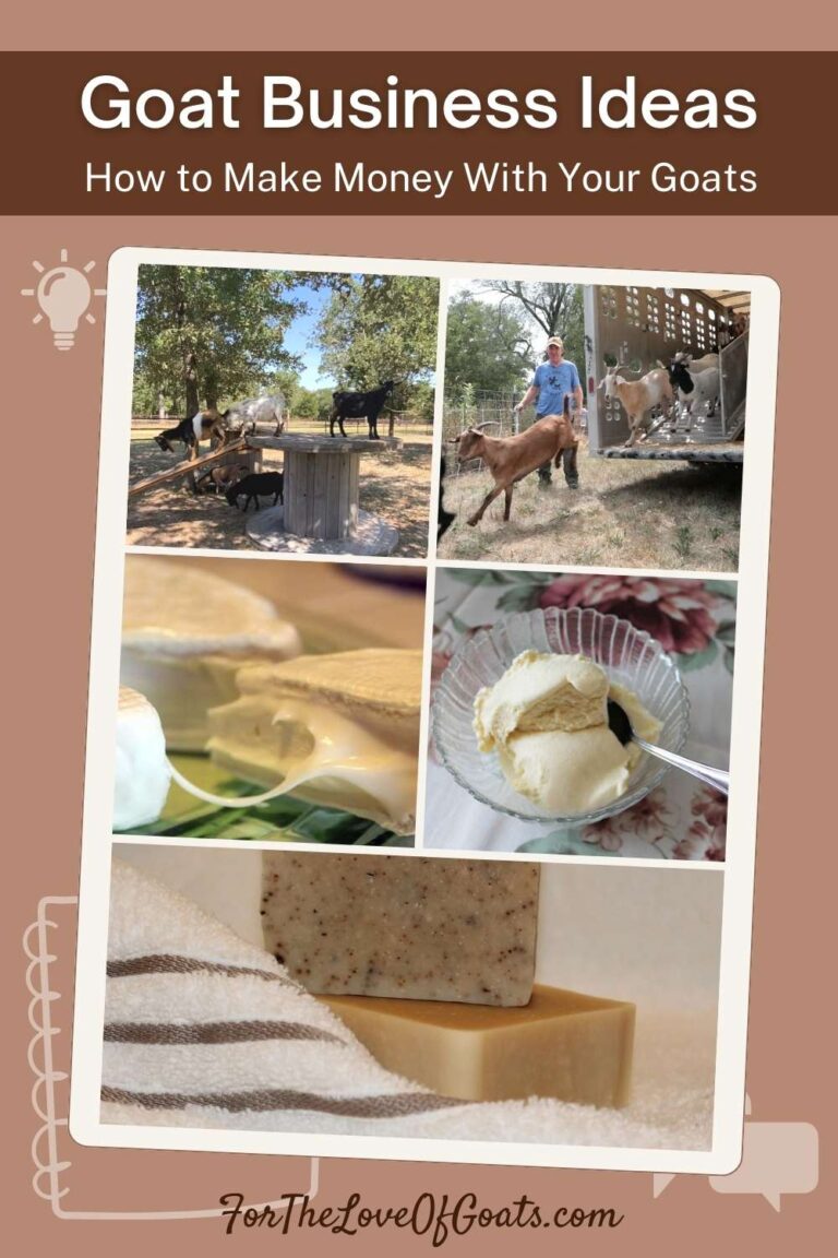 Goat Business Ideas: How to Make Money With Your Goats
