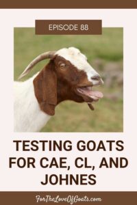 Testing Goats for CAE, CL, and Johnes