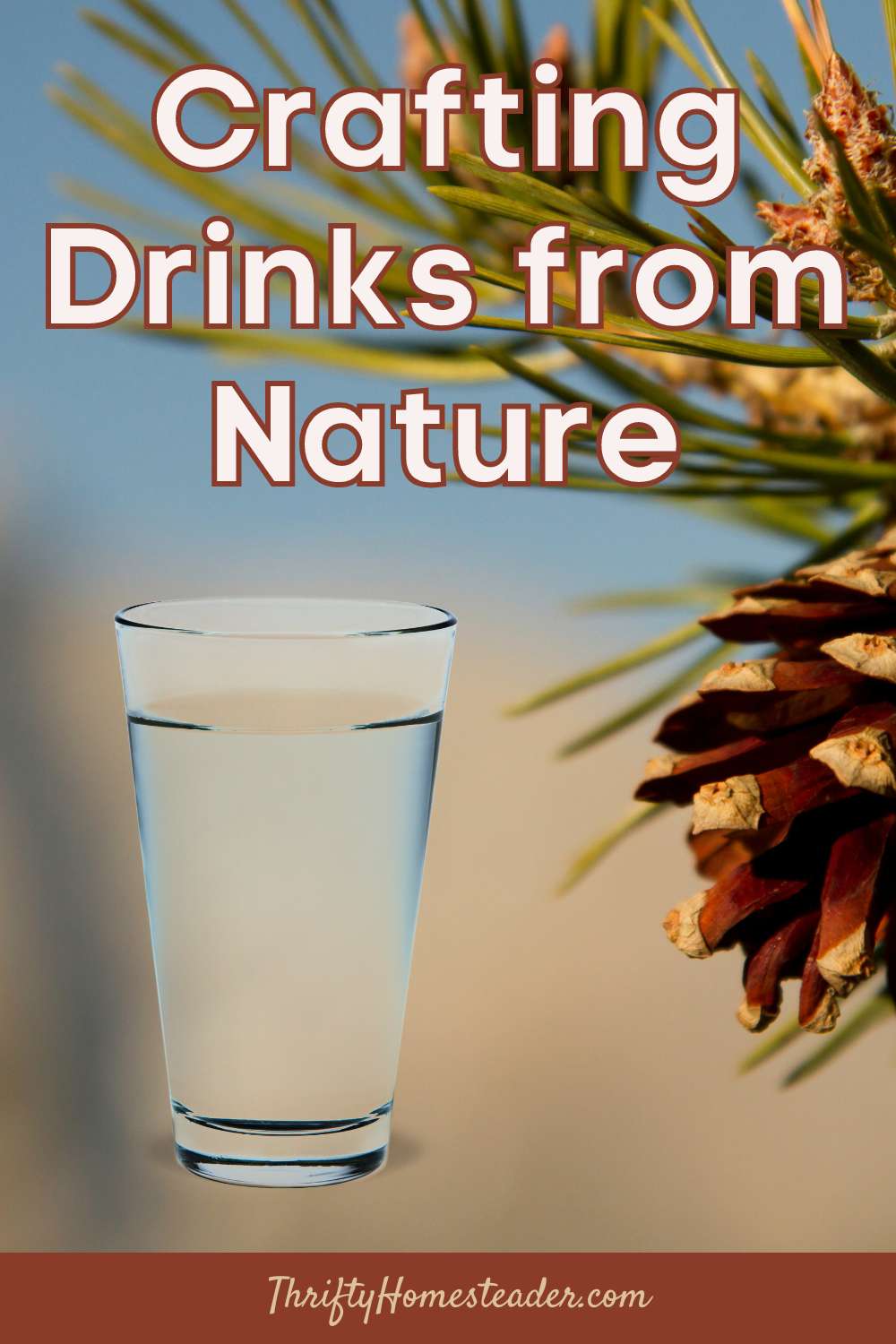 Crafting Drinks from Nature