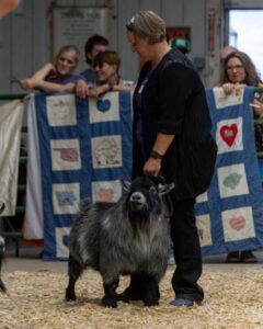 Co-Owning a Goat