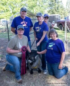 Co-Owning a Goat