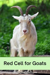 Red Cell for Goats: Study Examines Its Effectiveness