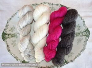 Shetland Sheep: The Ideal Breed for Your Homestead