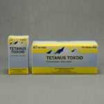 Tetanus in Goats: Transmission, Symptoms, Treatment, and Prognosis