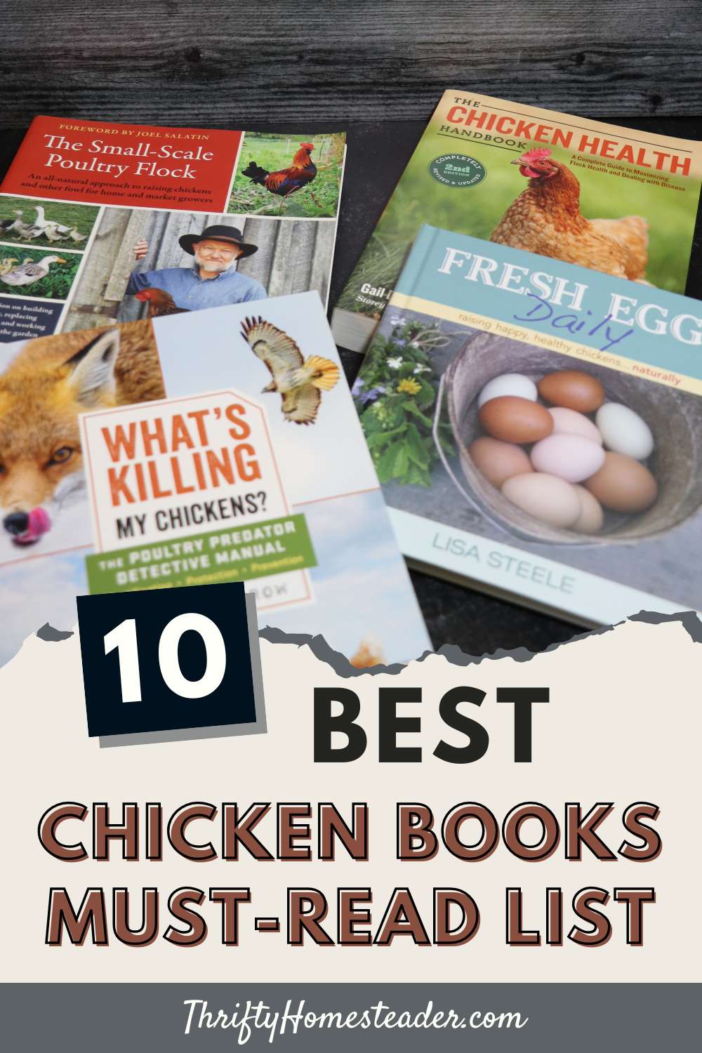 10 Best Chicken Books: Gift Guide and Must-Read List