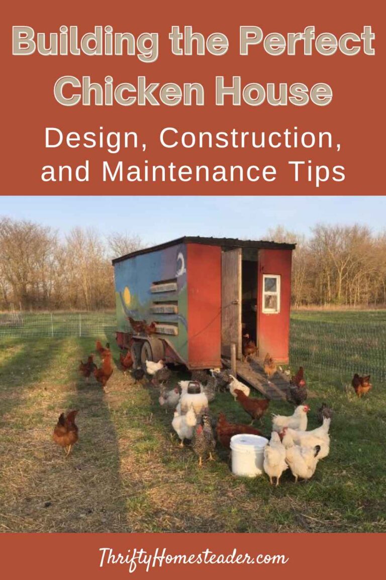 Building a Chicken Coop: Design, Construction, and Maintenance