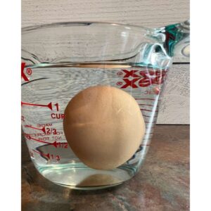 How to Tell If an Egg Is Bad: Expert Tips for Spotting Spoiled Eggs