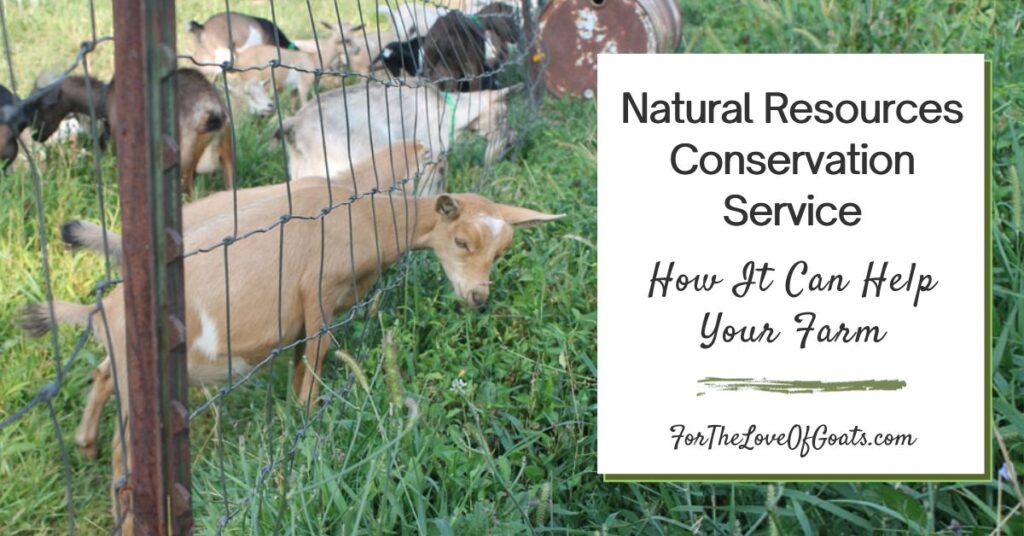 Natural Resources Conservation Service: How It Can Help Your Farm