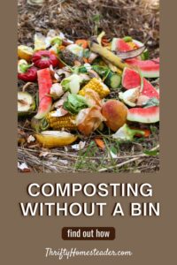 Composting Without a Bin