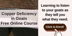 Copper Deficiency and Toxicity in Goats
