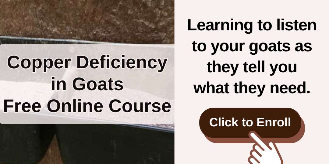 Copper Deficiency and Toxicity in Goats