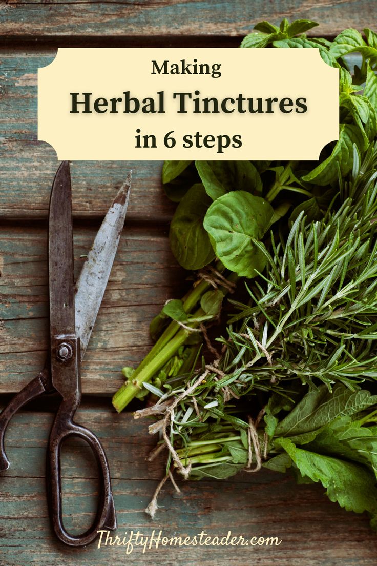 How to Make Herbal Tinctures in 6 Steps