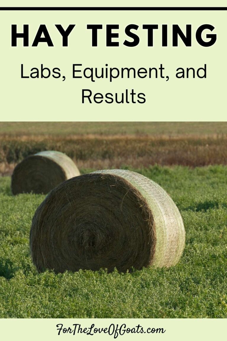 Hay Testing: Labs, Equipment, and Results