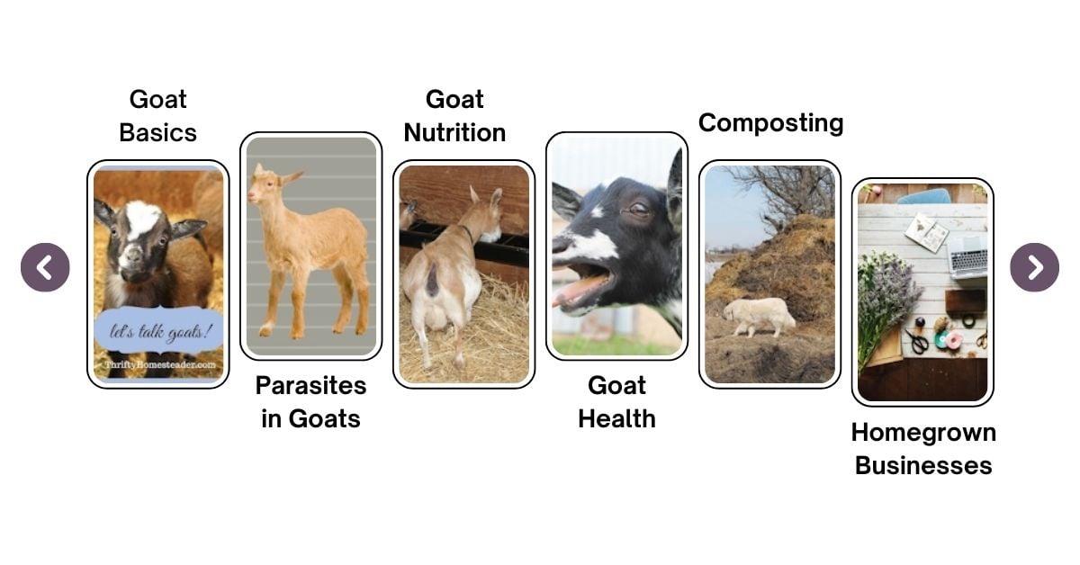 Goats 365 - The Thrifty Homesteader