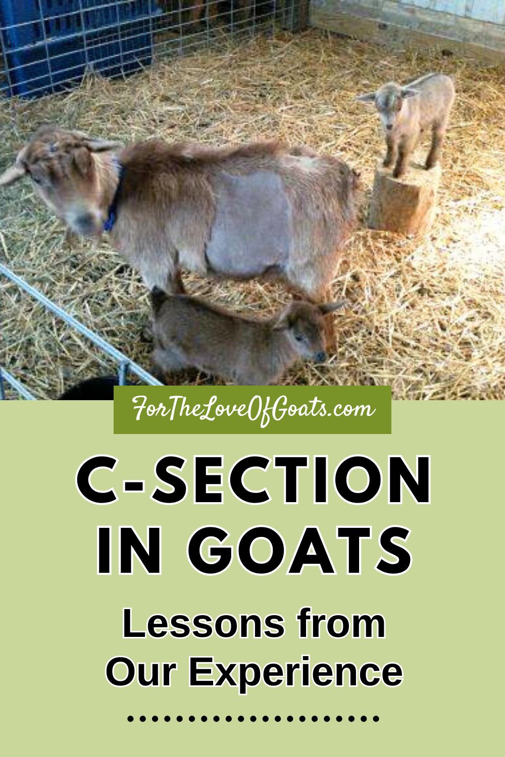 Our First C-section: Caboose’s Story