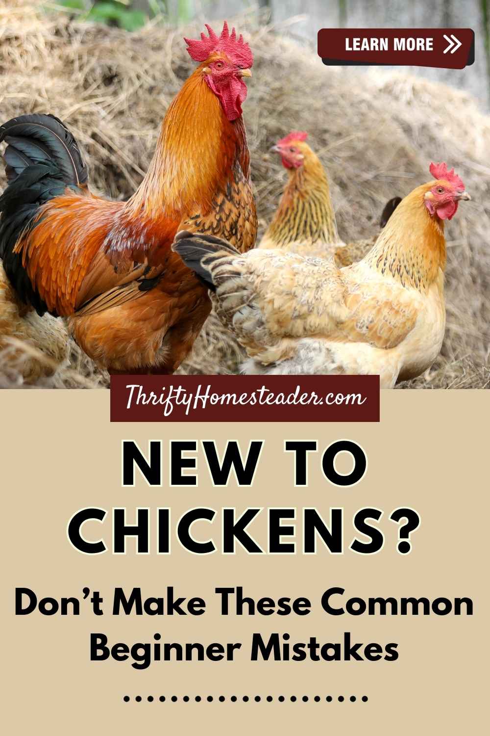 5 Biggest Mistakes New Chicken Keepers Make (And How to Avoid Them)