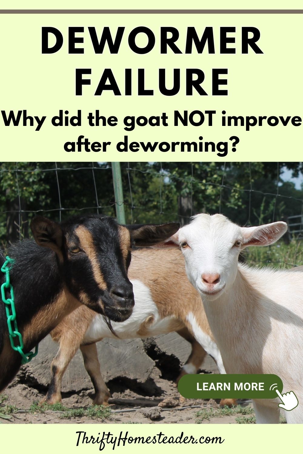 Dewormer Failure: Why did the goat NOT improve after deworming?