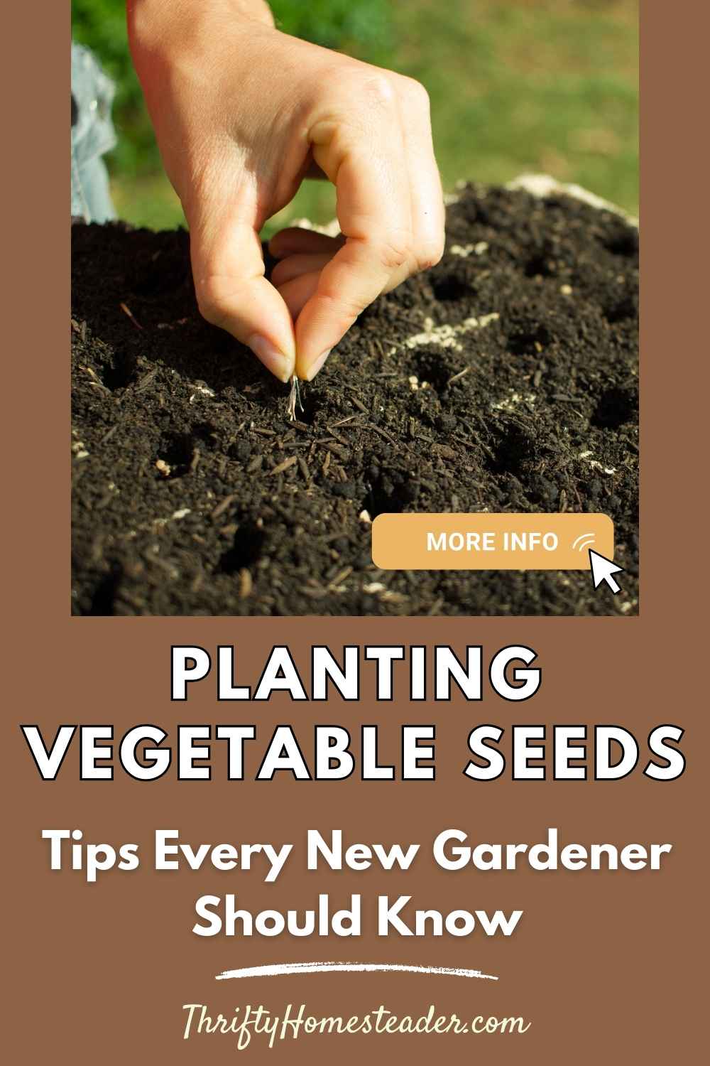 How to Plant Vegetable Seeds: A Complete Guide for First-Time Gardeners