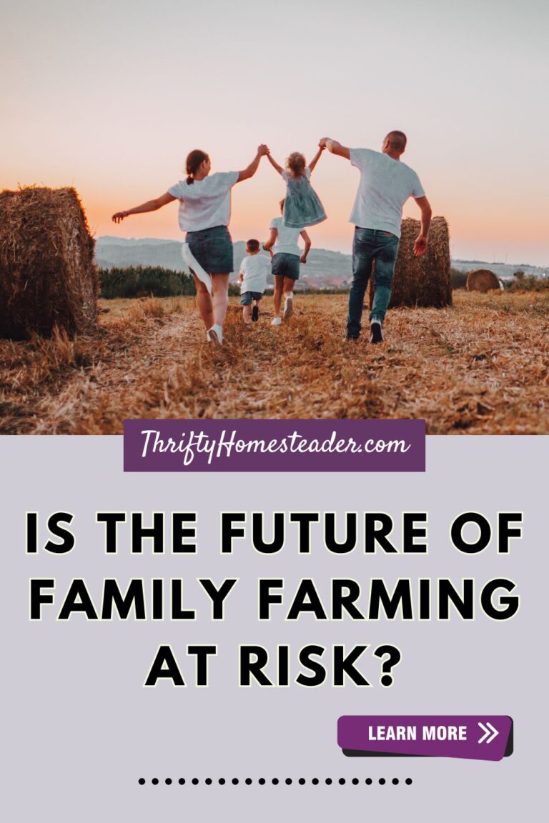 Why Family Farms Are Disappearing with Brian Reisinger