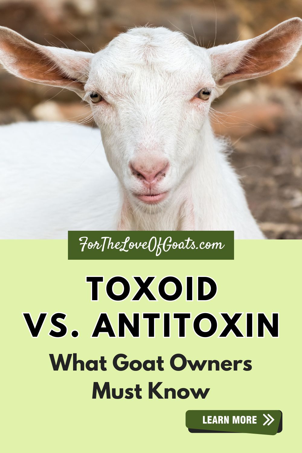 Tetanus Prevention in Goats: Understanding Toxoid vs. Antitoxin