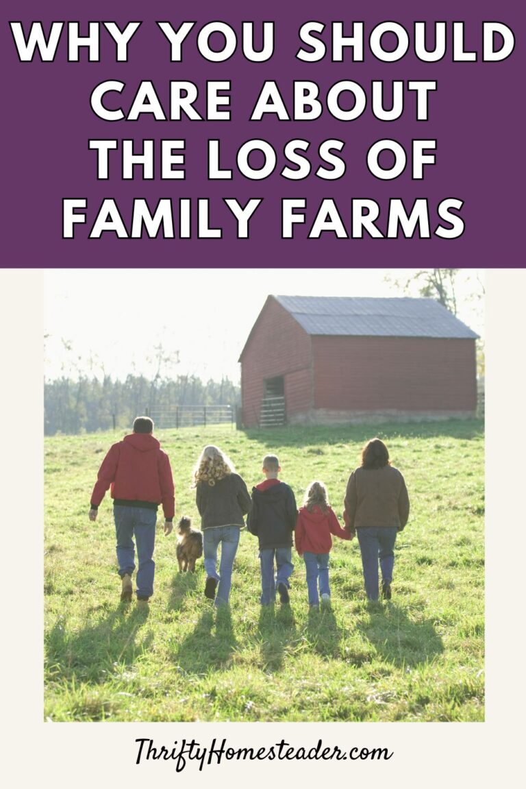 Why Family Farms Are Disappearing with Brian Reisinger