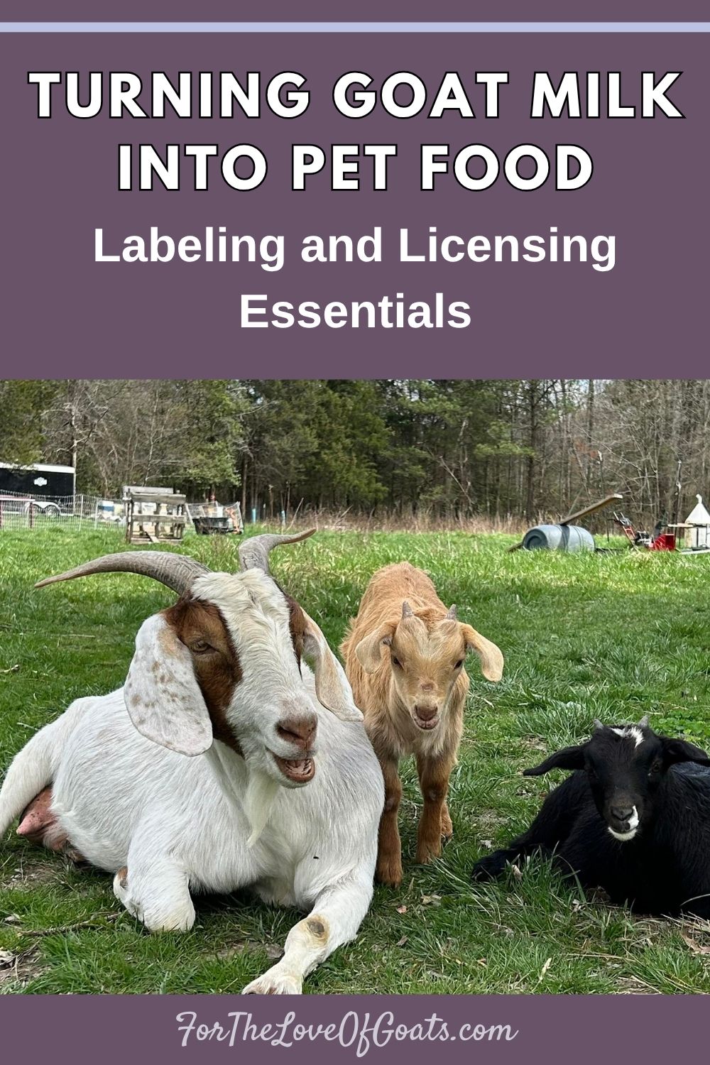 Turning Goat Milk into Pet Food: Labeling and Licensing Essentials