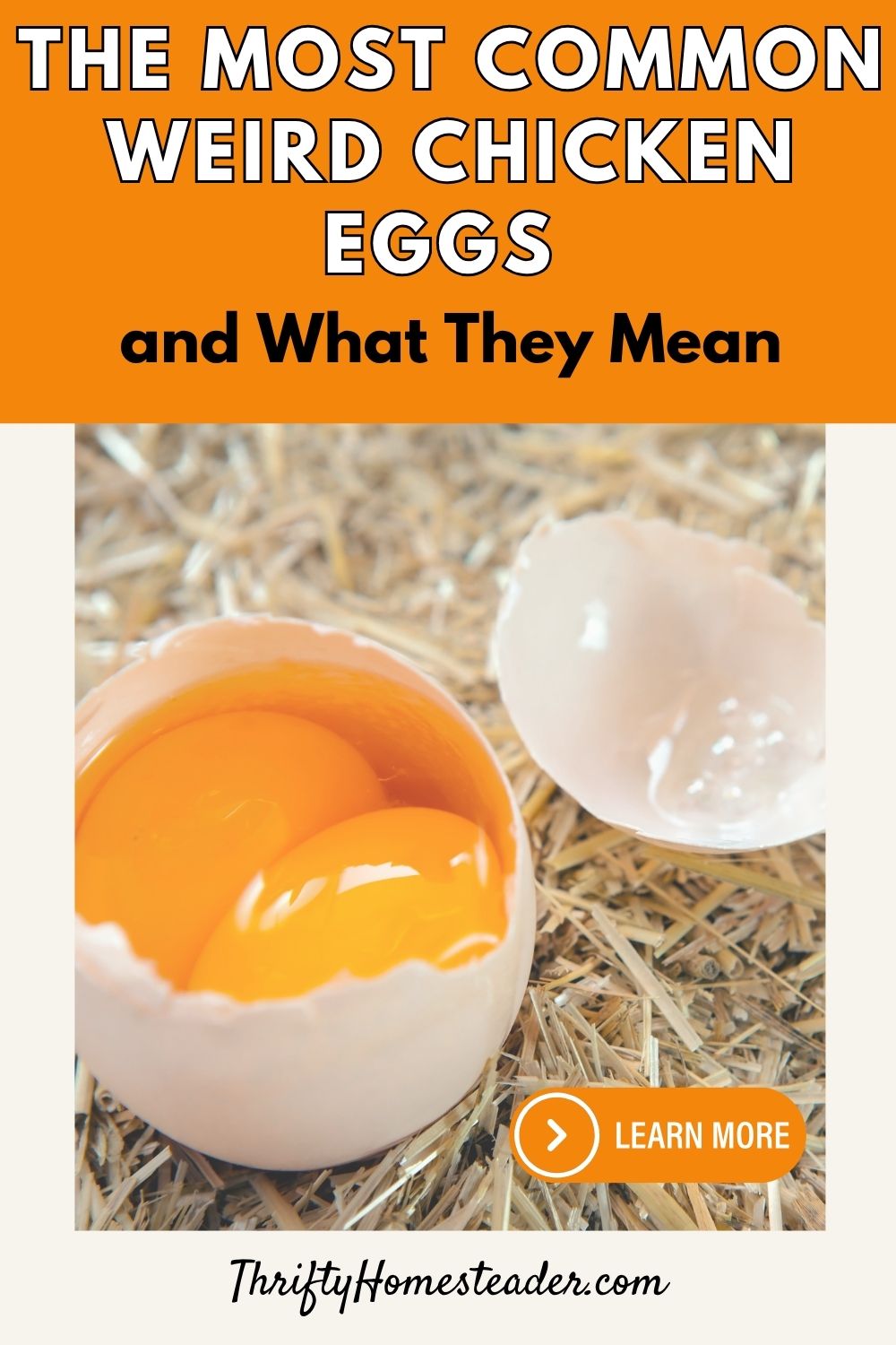 Weird Eggs: Decoding Double Yolks, Fairy Eggs, Pimpled Eggs, and More!