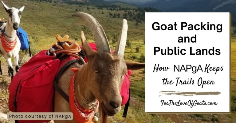 Goat Packing and Public Lands: How NAPgA Keeps the Trails Open