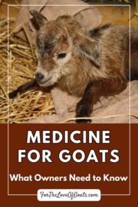 Medications for Goats: Understanding Antibiotics, Labels, and Safe ...